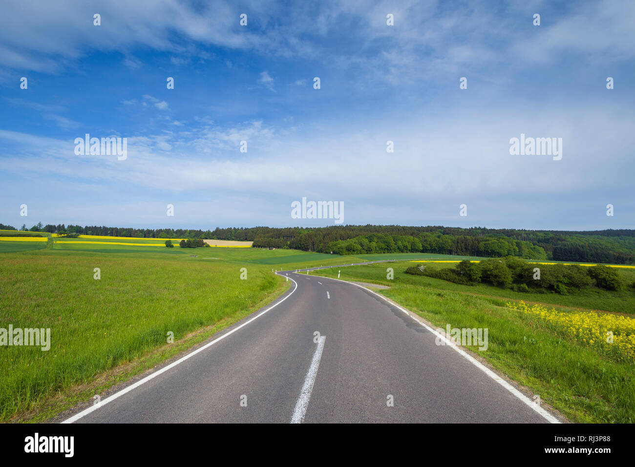 Winding Country Road in Spring, Karbach, Boppard, Rhein-Hunsrueck ...