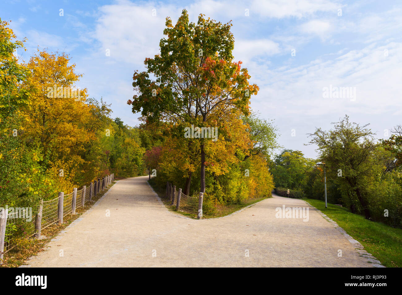 Tree and way hi-res stock photography and images - Alamy