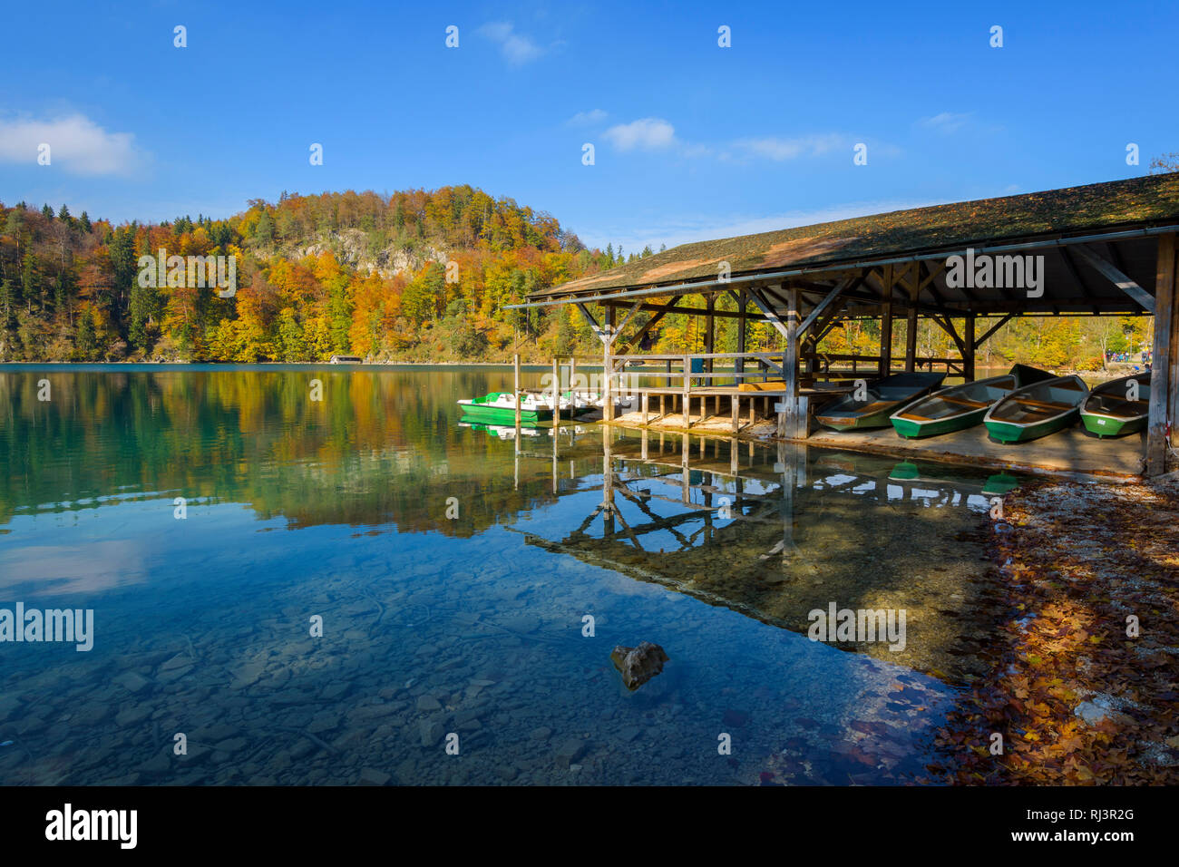 Alpsee, allgau, germany hi-res stock photography and images - Alamy