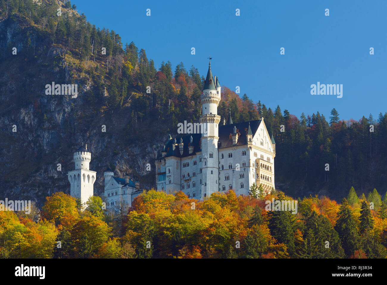 Neuschwanstein Castle in autumn, Fussen, Swabia, Allgau, Bavaria ...
