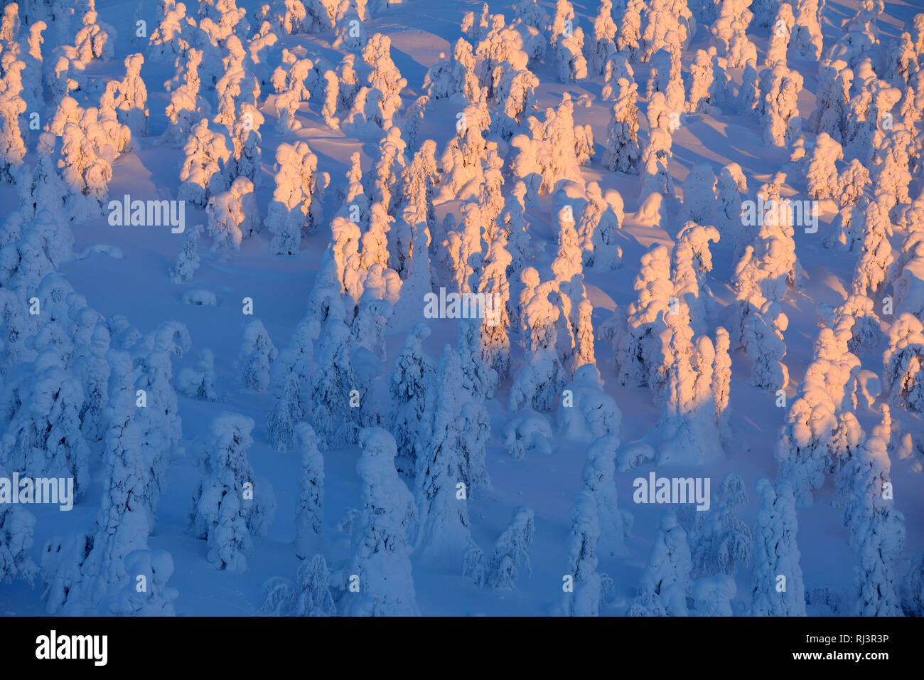 Sunrise at ruka hi-res stock photography and images - Alamy