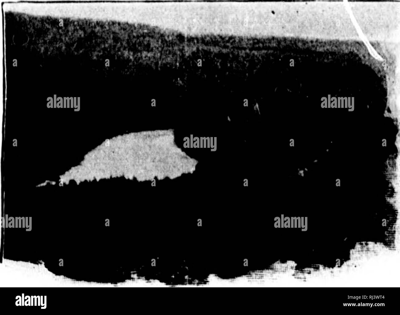 Gently rolling plateau Black and White Stock Photos & Images - Alamy