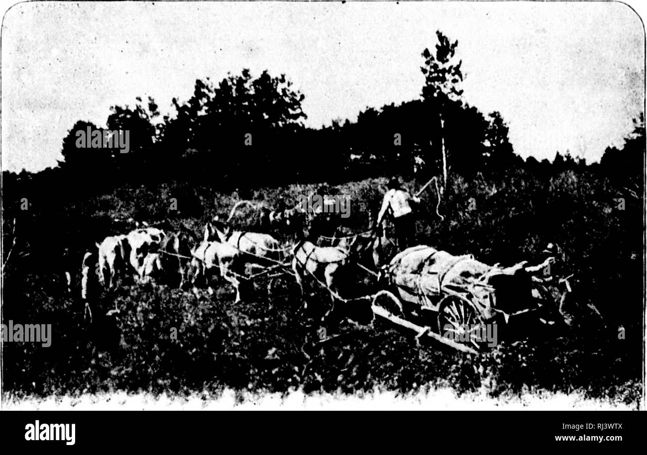 Little muskeg bay hi-res stock photography and images - Alamy