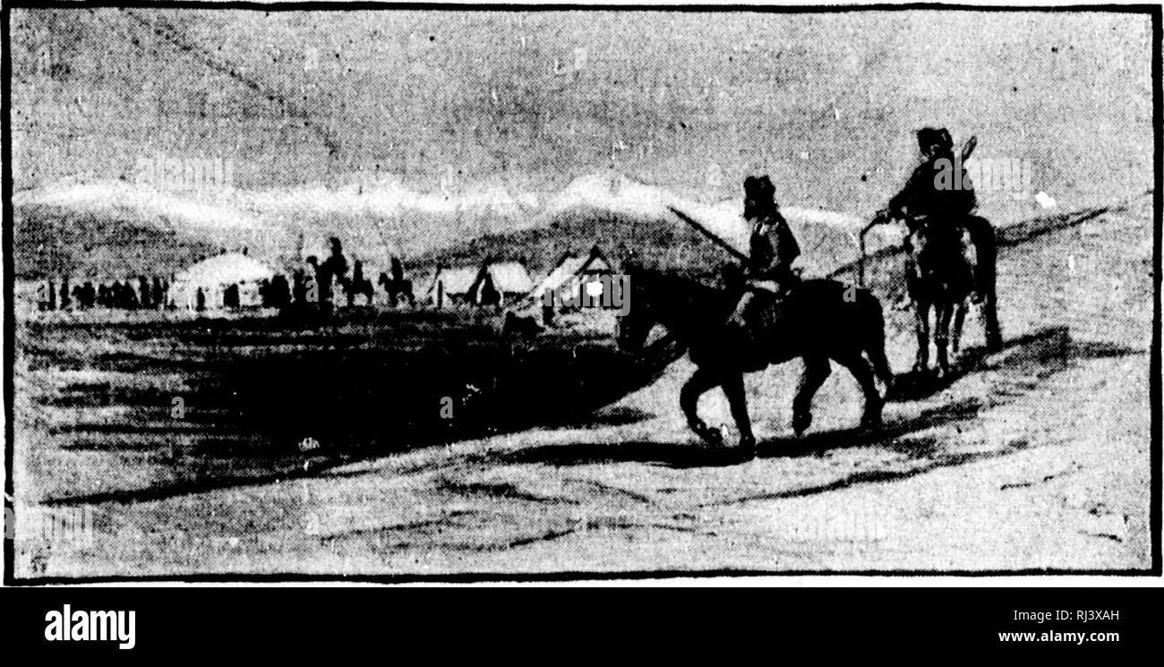 Ovis Poli High Resolution Stock Photography and Images - Alamy