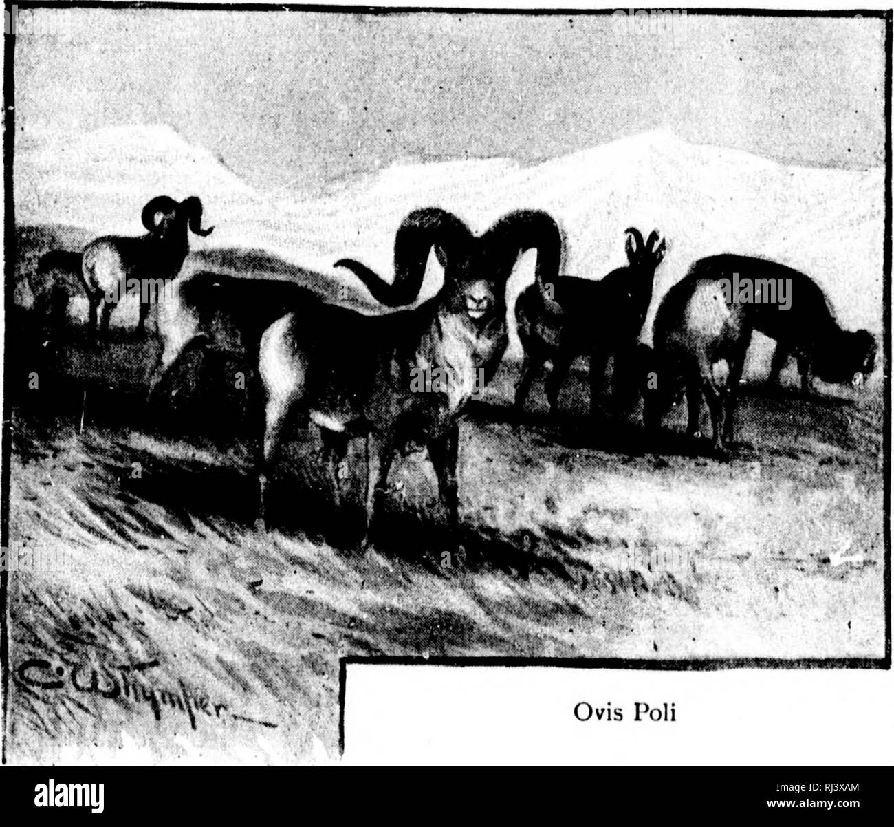 Mean elevation Black and White Stock Photos & Images - Alamy