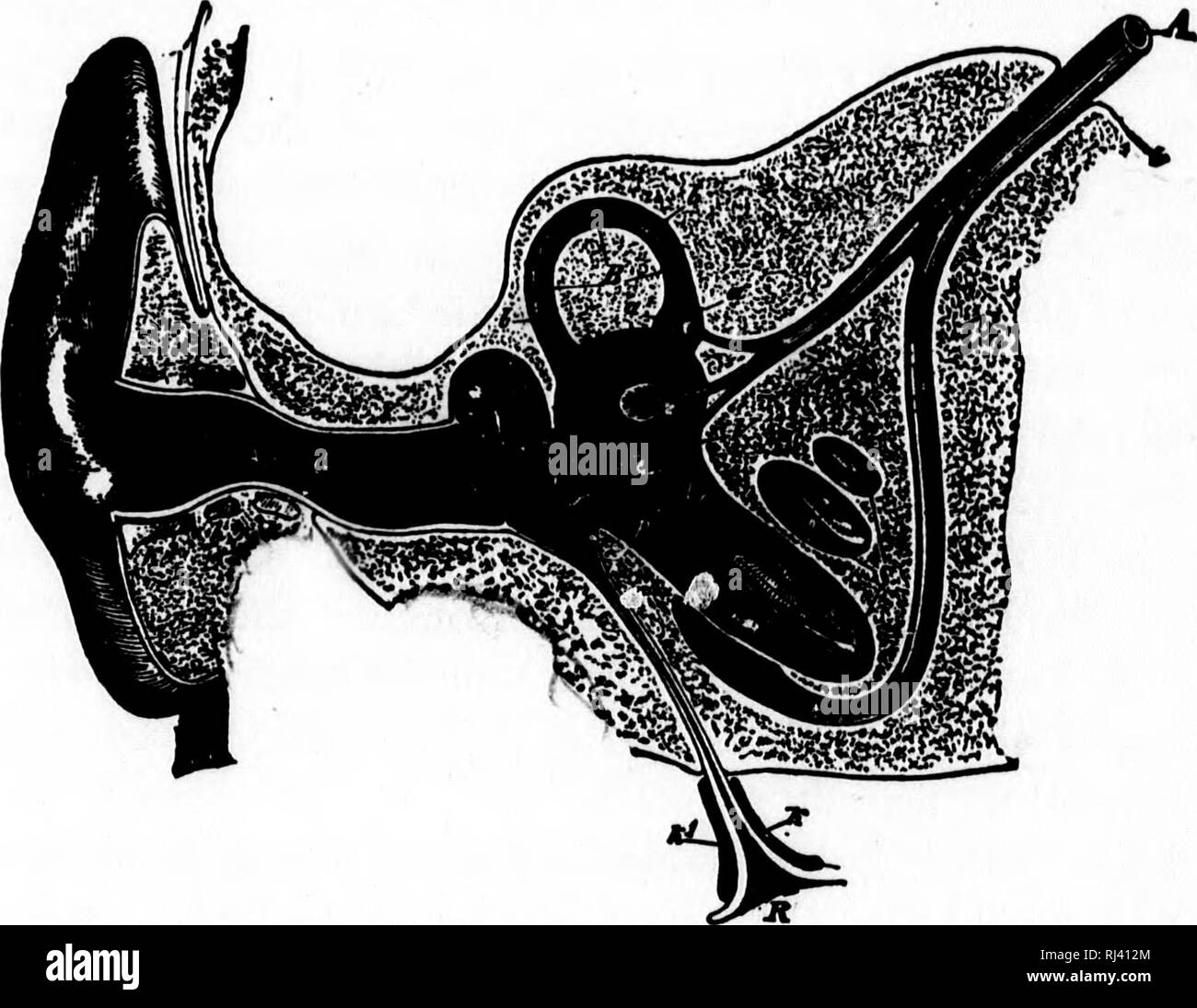 . Public school physiology and temperance [microform]. Physiology ...