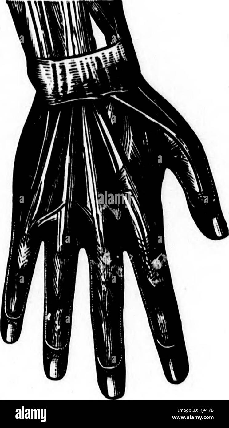 . Public school physiology and temperance [microform]. Physiology ...