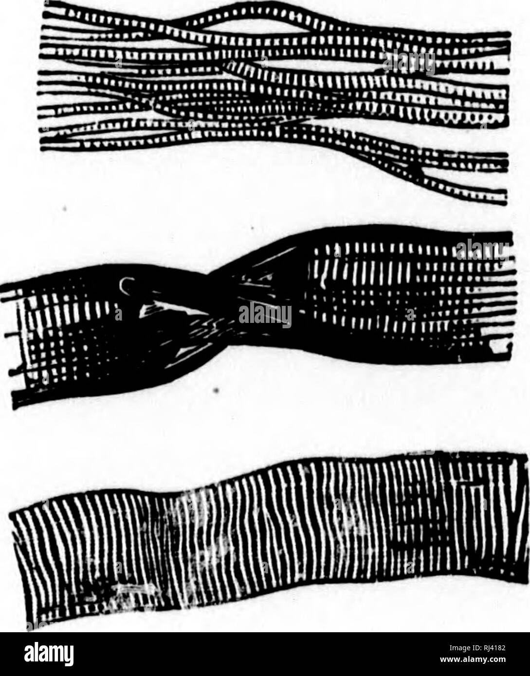 Lean tissue Black and White Stock Photos & Images - Alamy