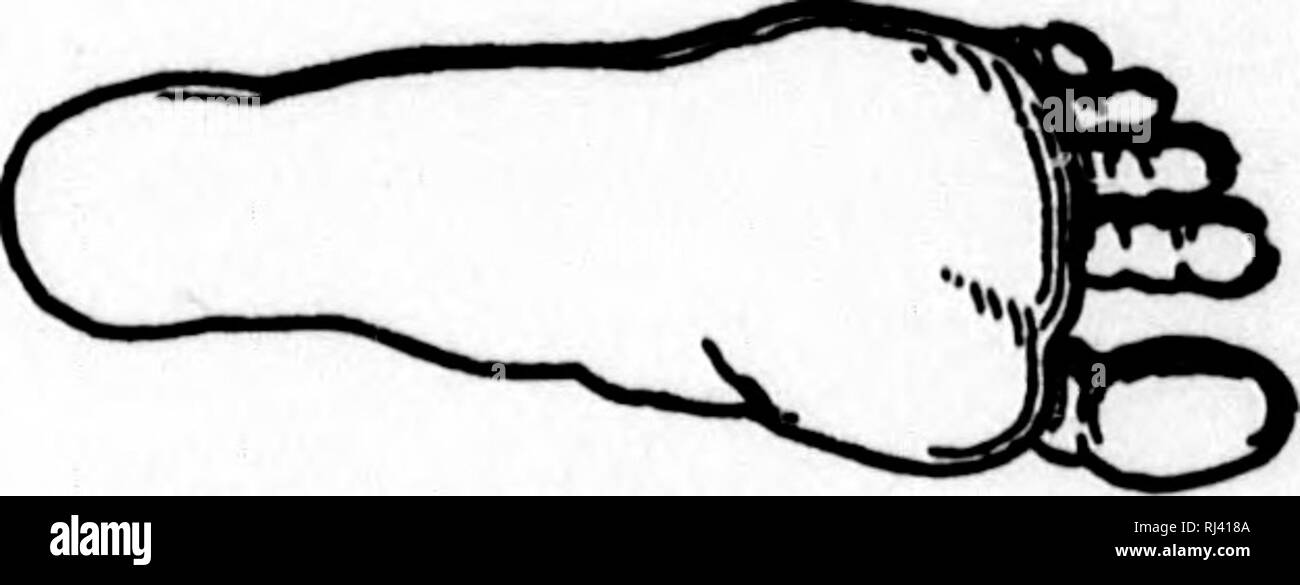 . Public school physiology and temperance [microform]. Physiology ...