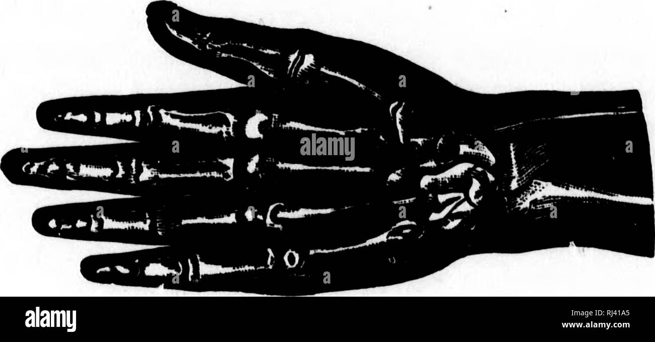 . Public school physiology and temperance [microform]. Physiology ...
