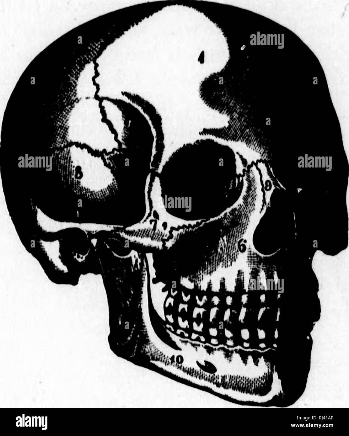 . Public school physiology and temperance [microform]. Physiology ...
