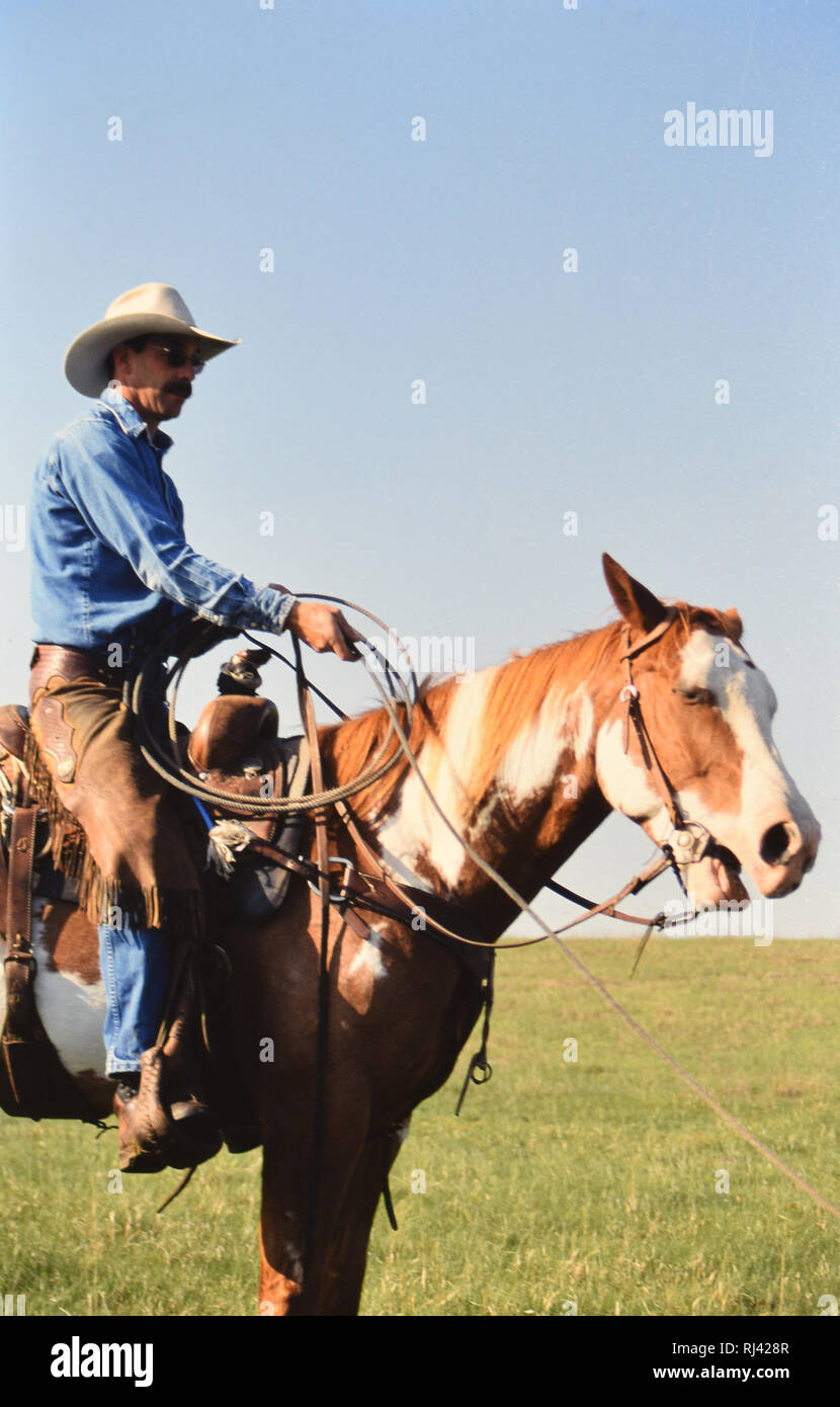 Early 2000s working ranch cowboy hi-res stock photography and images ...