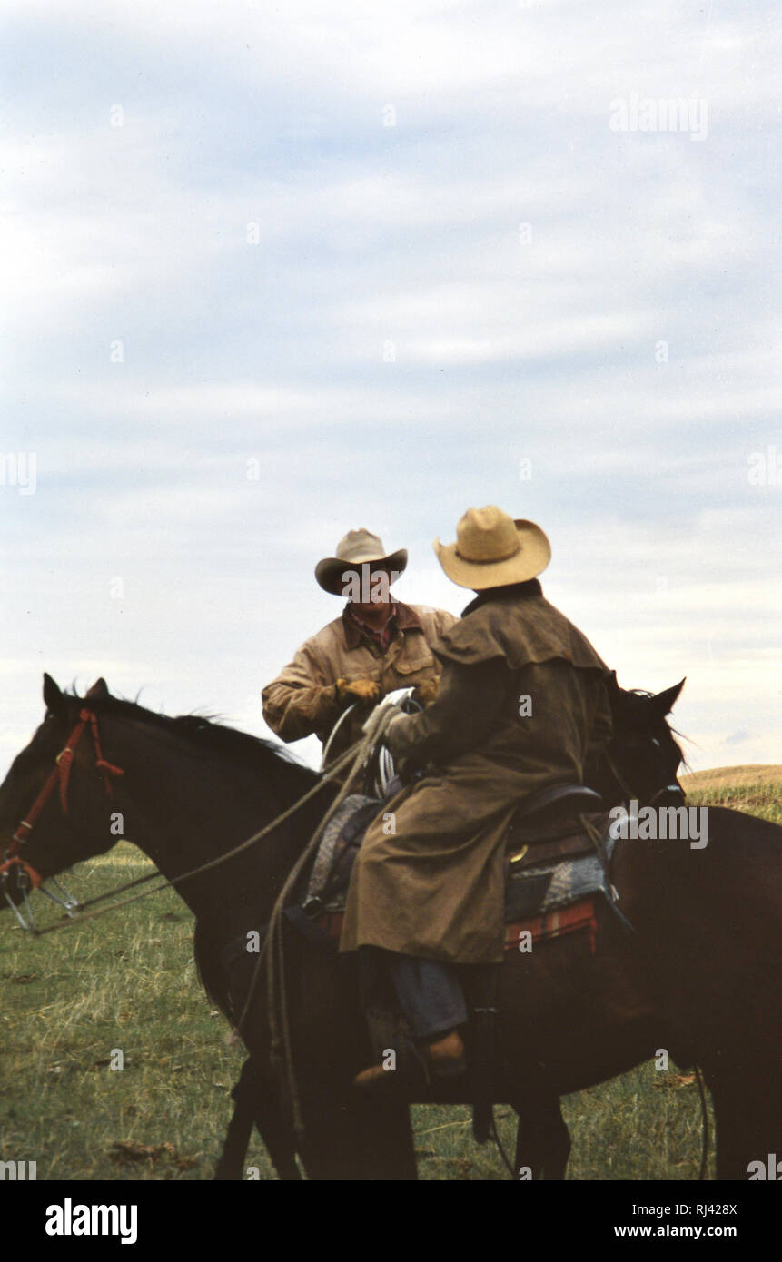 Real nebraska cowboys early 2000s hi-res stock photography and images ...