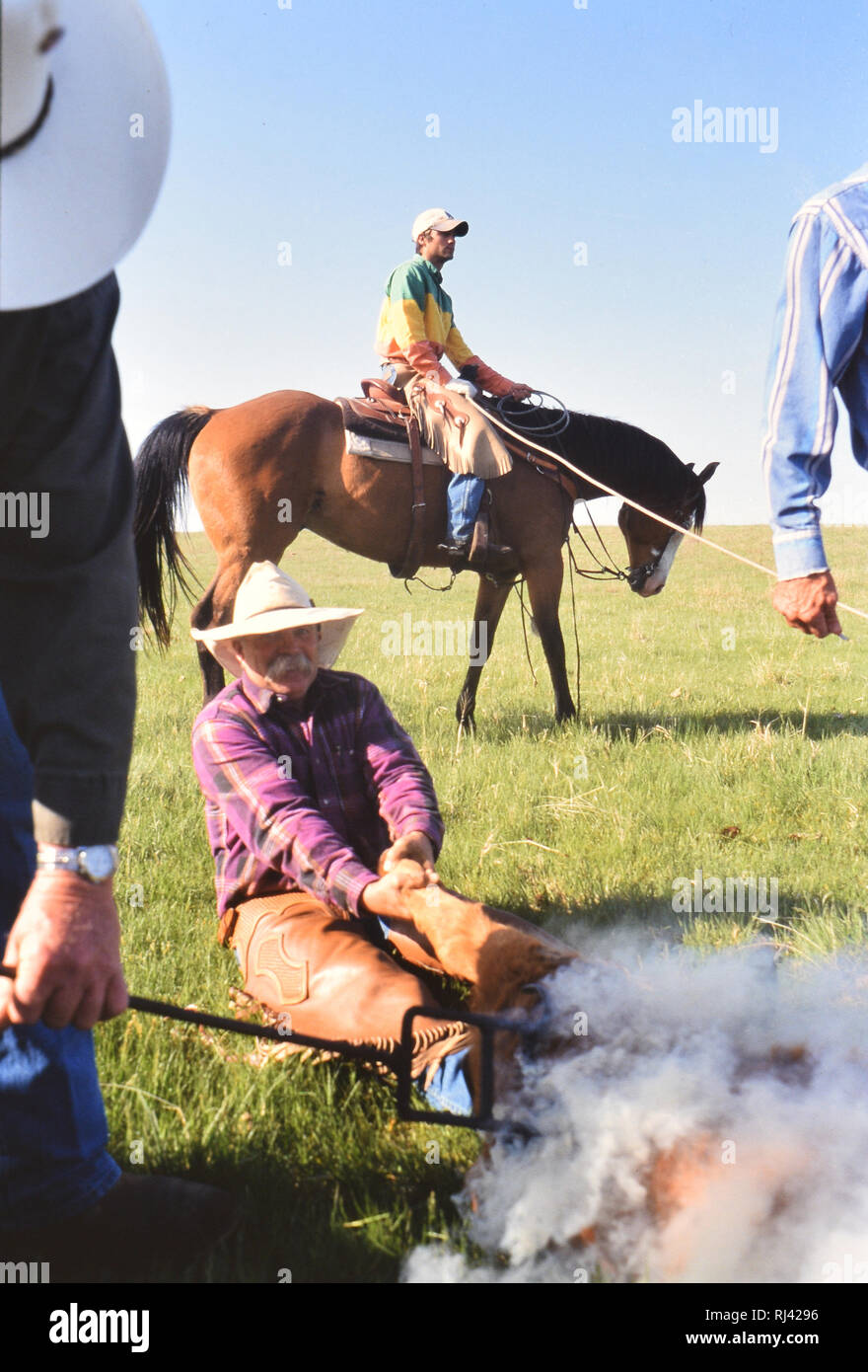 Real Nebraska Cowboys Early 2000s High Resolution Stock Photography and ...