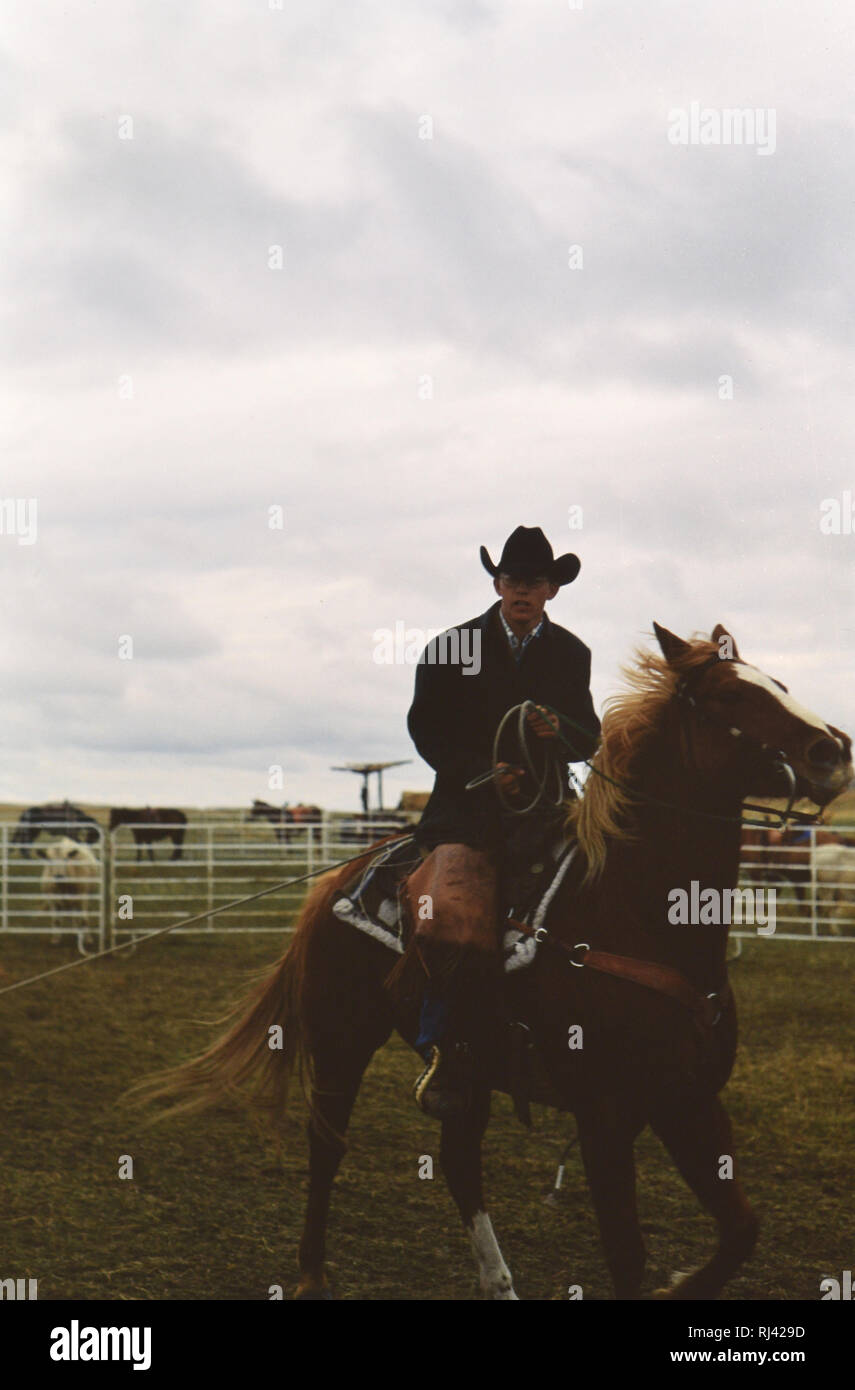 Early 2000s working ranch cowboy hi-res stock photography and images ...