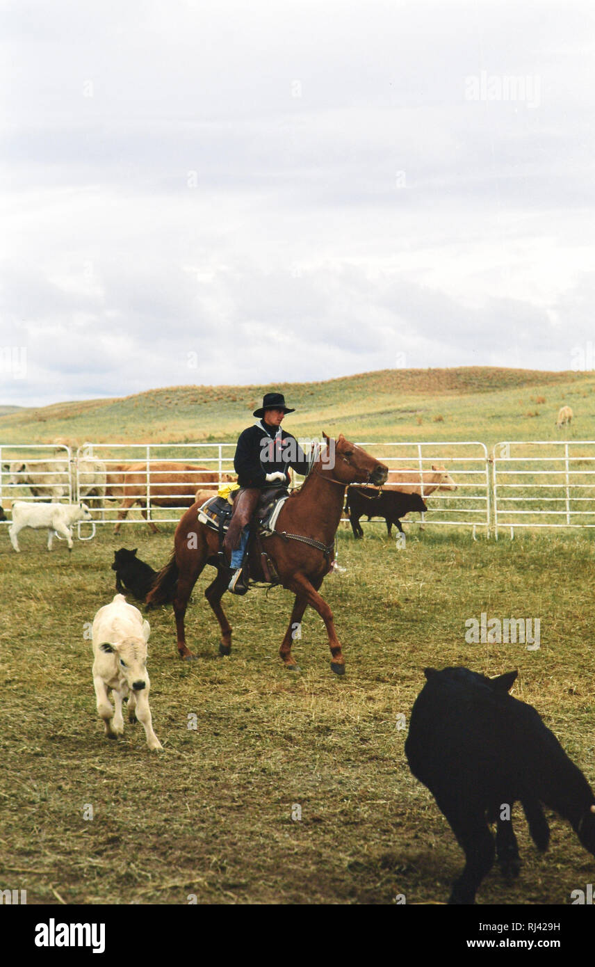 Early 2000s cowboys hi-res stock photography and images - Alamy