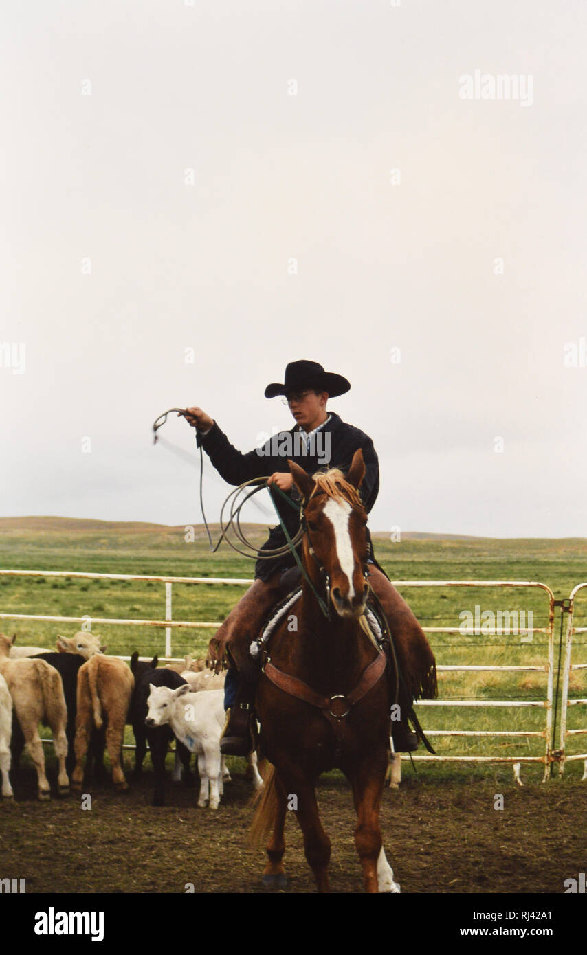 Cowboy holding lariat hi-res stock photography and images - Alamy