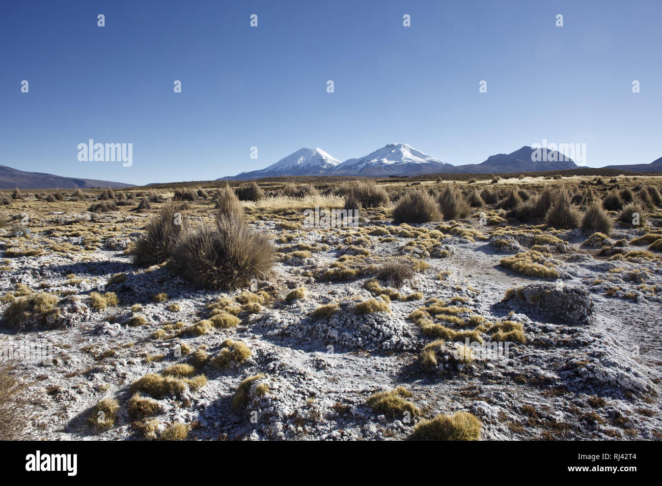 Nationalpark sajama hi-res stock photography and images - Alamy