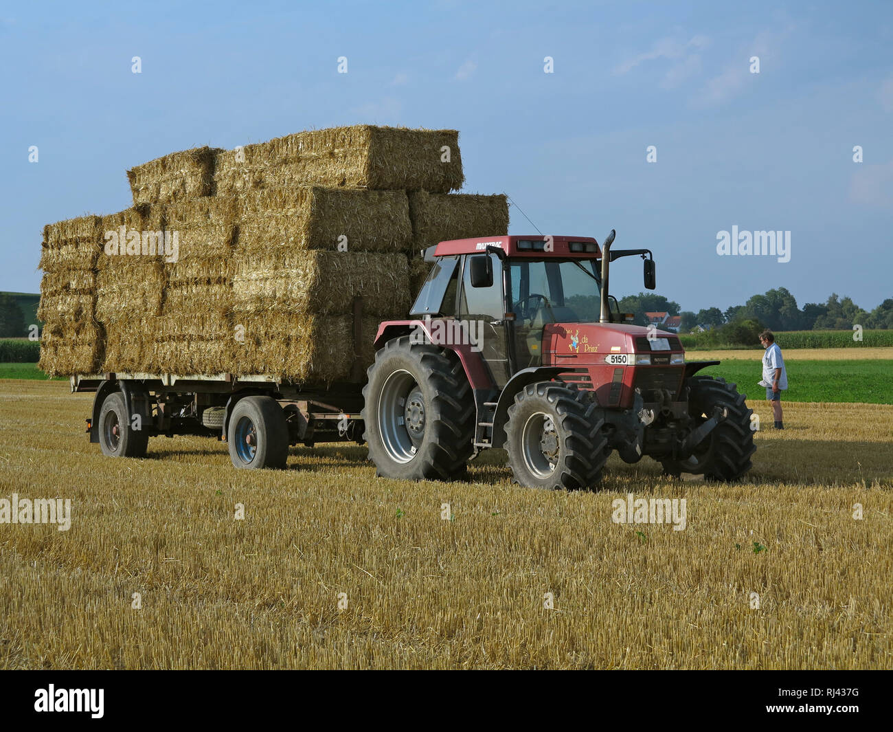 Getreideernte ernte hi-res stock photography and images - Alamy