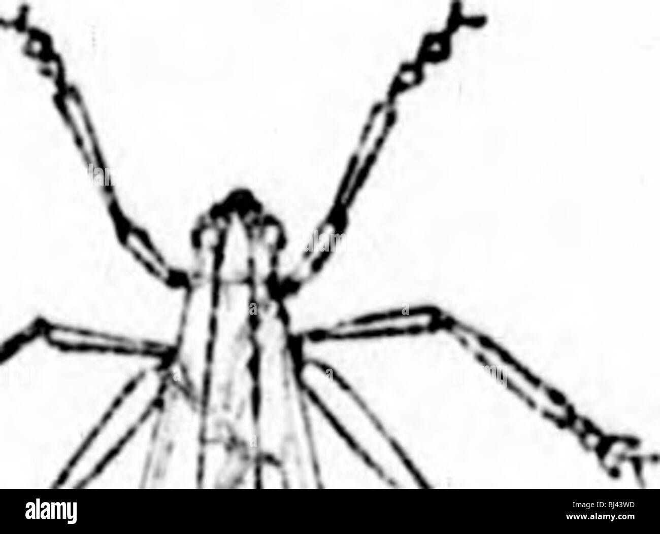 Sinol hi-res stock photography and images - Alamy