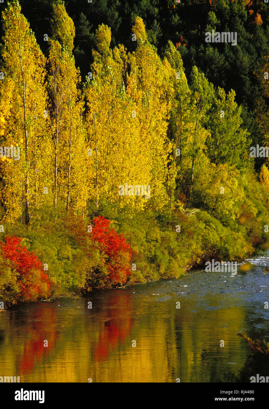 Anso valley hi-res stock photography and images - Alamy