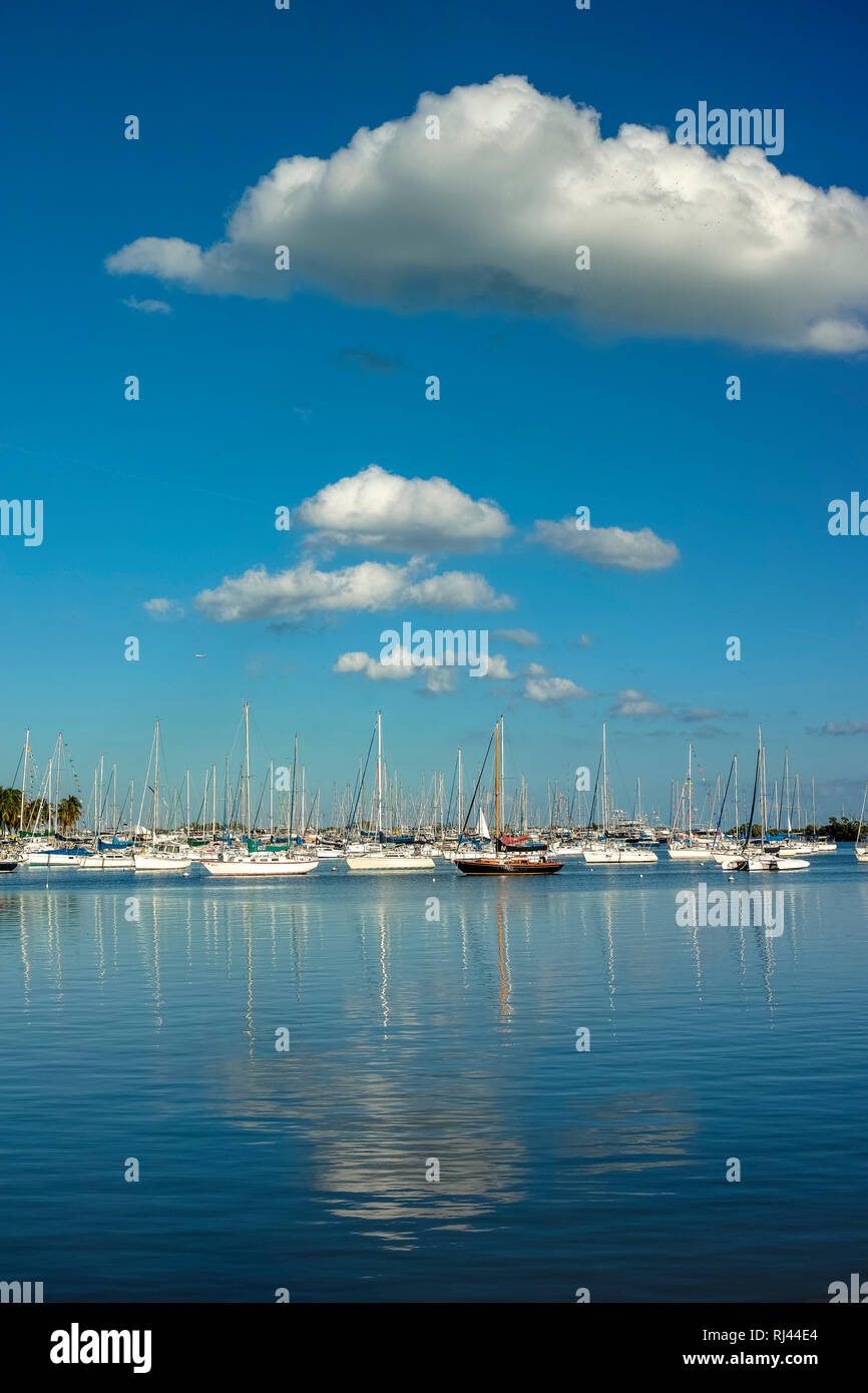 Florida grove hi-res stock photography and images - Alamy
