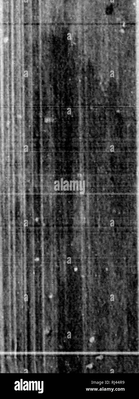 1828 1899 Black and White Stock Photos & Images - Alamy