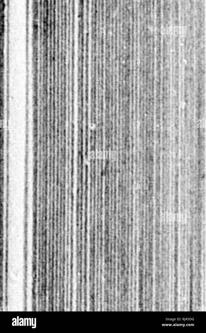 Bourra© Black and White Stock Photos & Images - Alamy