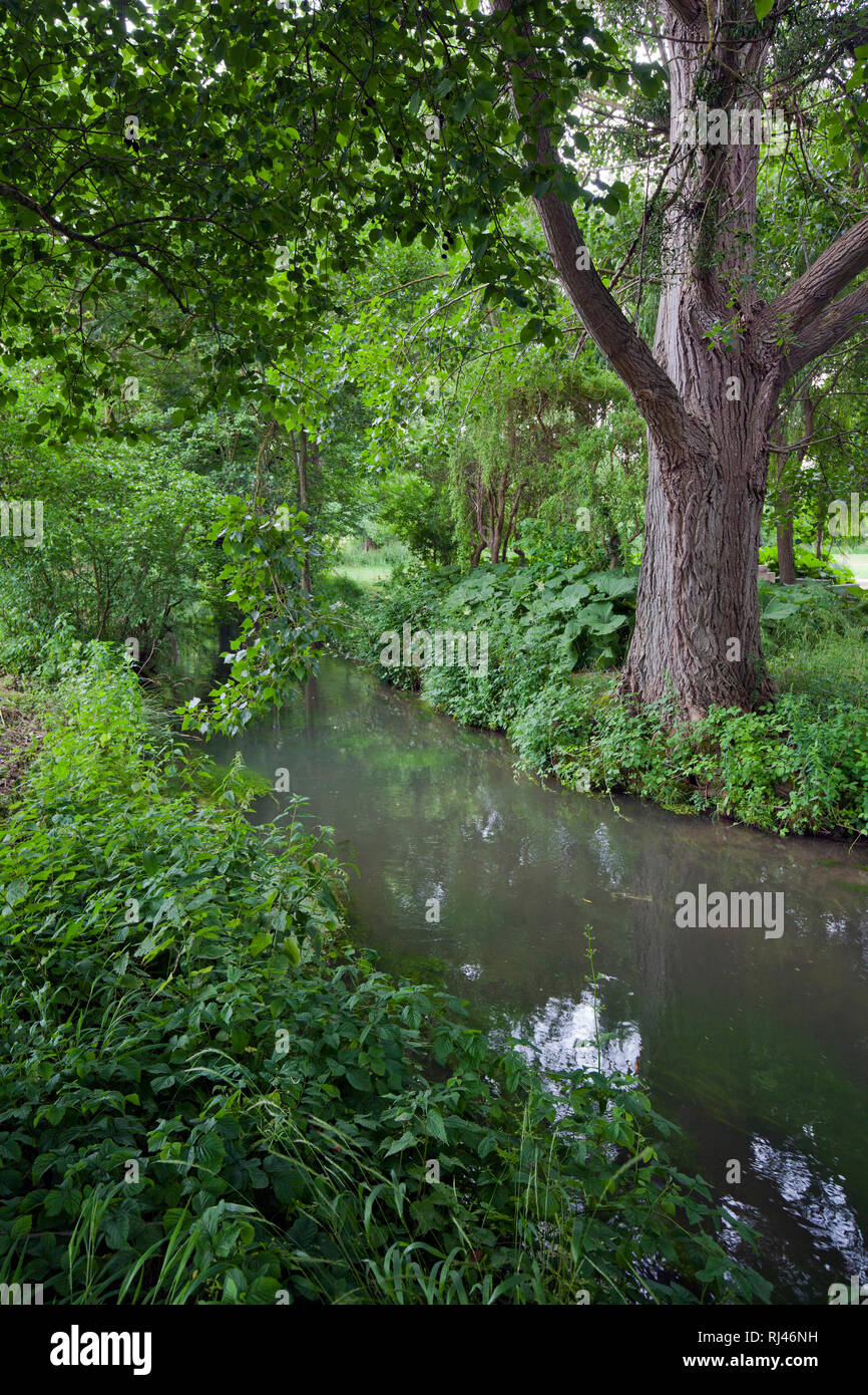 Bach im wald hi-res stock photography and images - Alamy