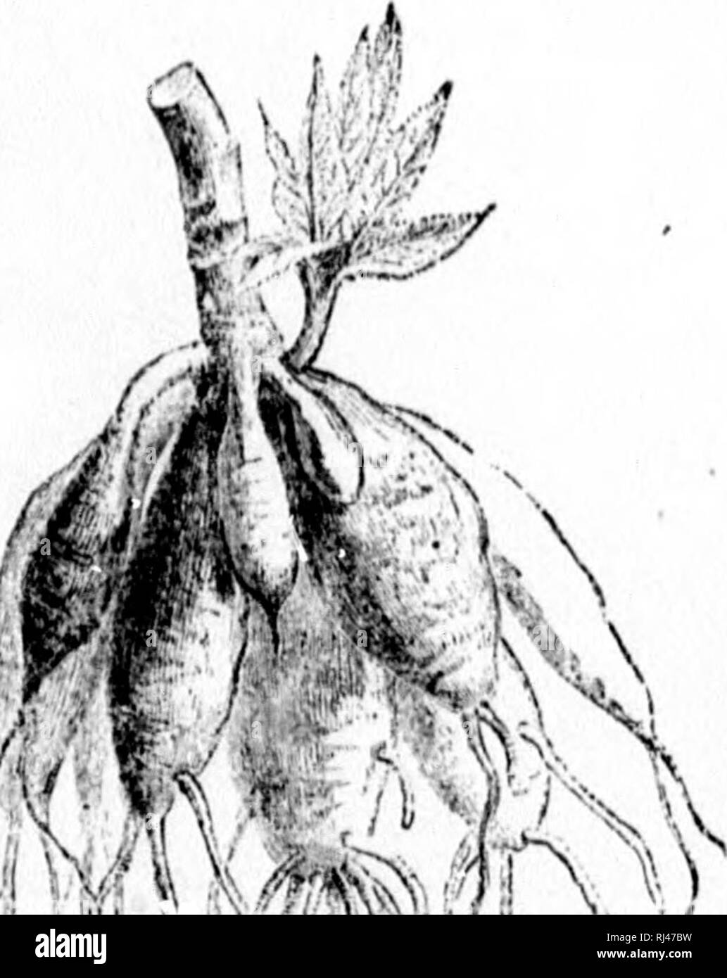 Junction 11 Black and White Stock Photos & Images - Alamy