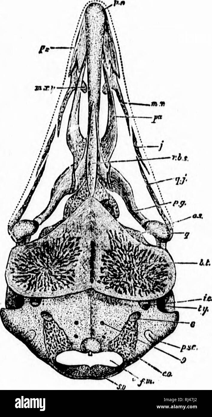 Transverse partition hi-res stock photography and images - Alamy