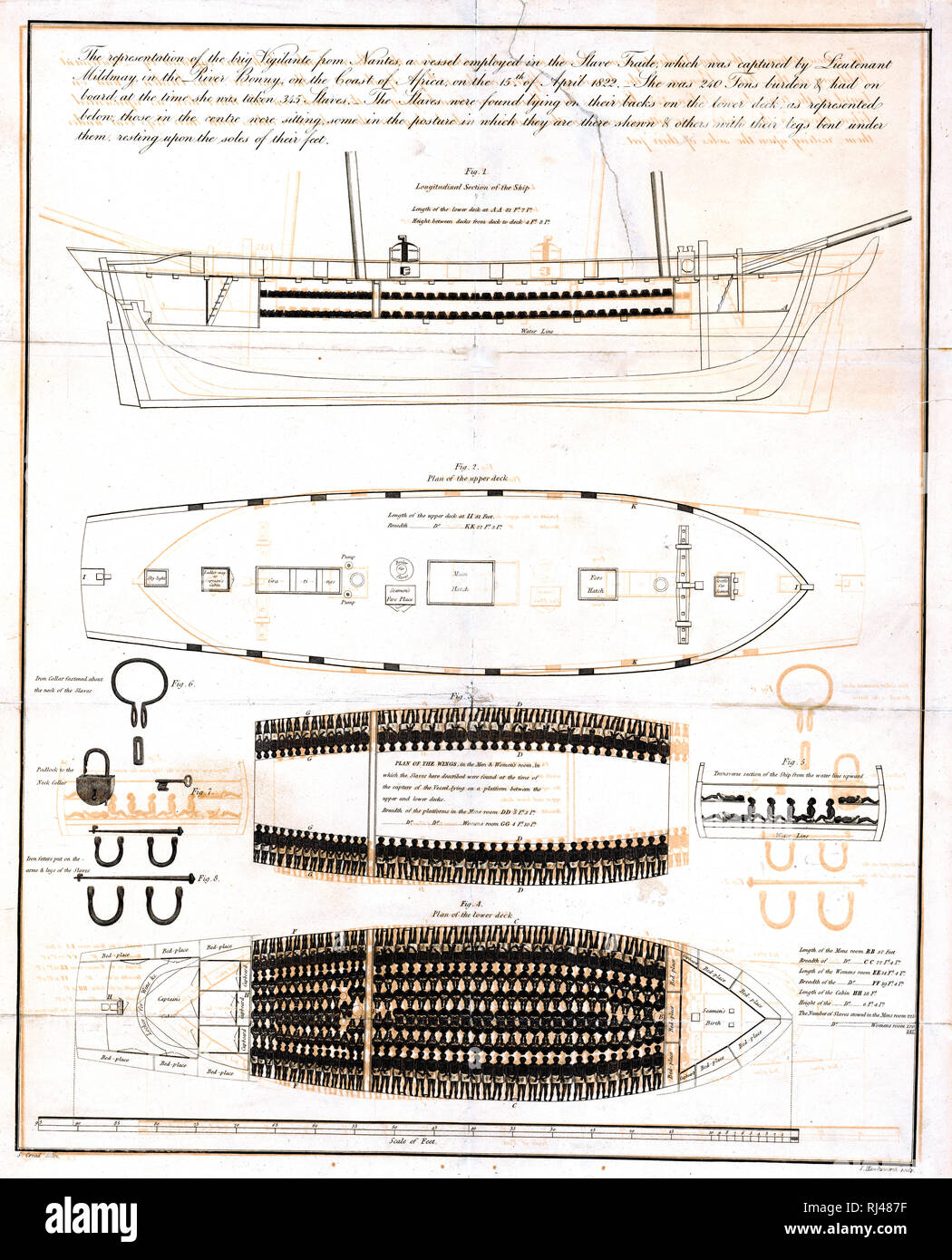 Slave ship diagram 1800s hi-res stock photography and images - Alamy
