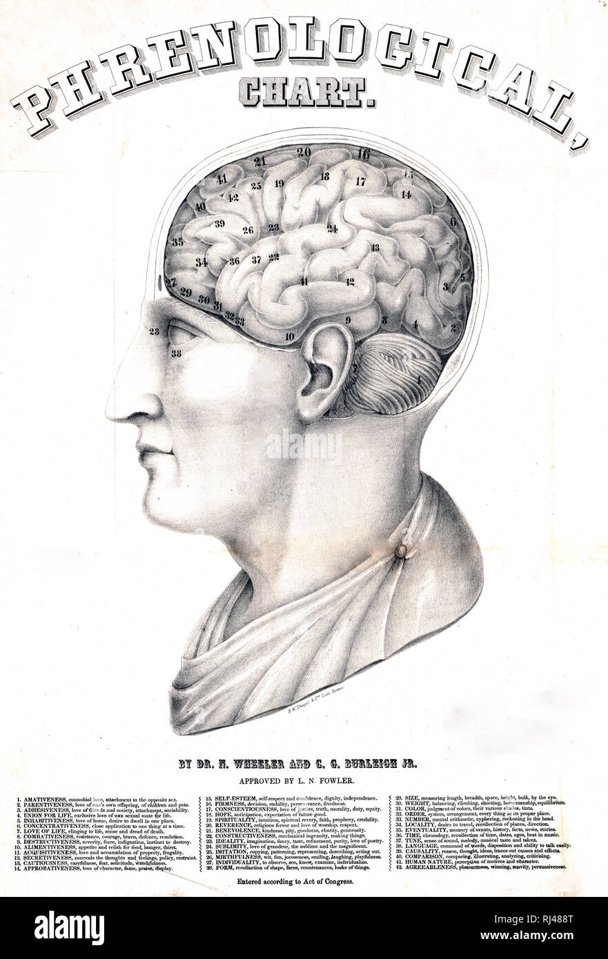 Phrenological chart 1860s hi-res stock photography and images - Alamy