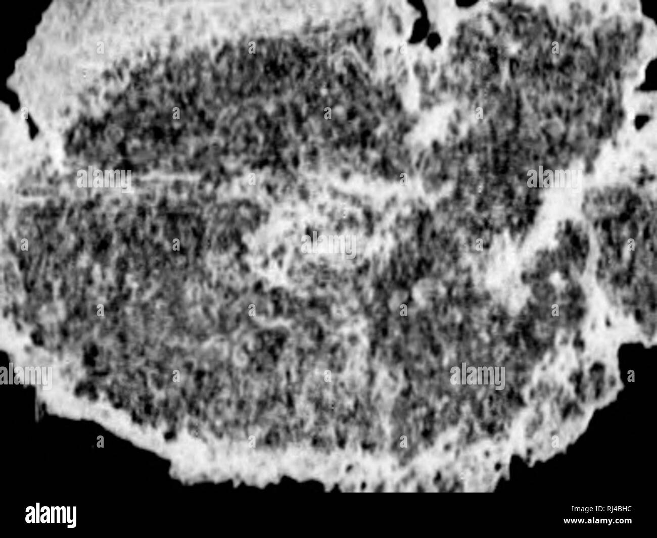 Metamere hi-res stock photography and images - Alamy