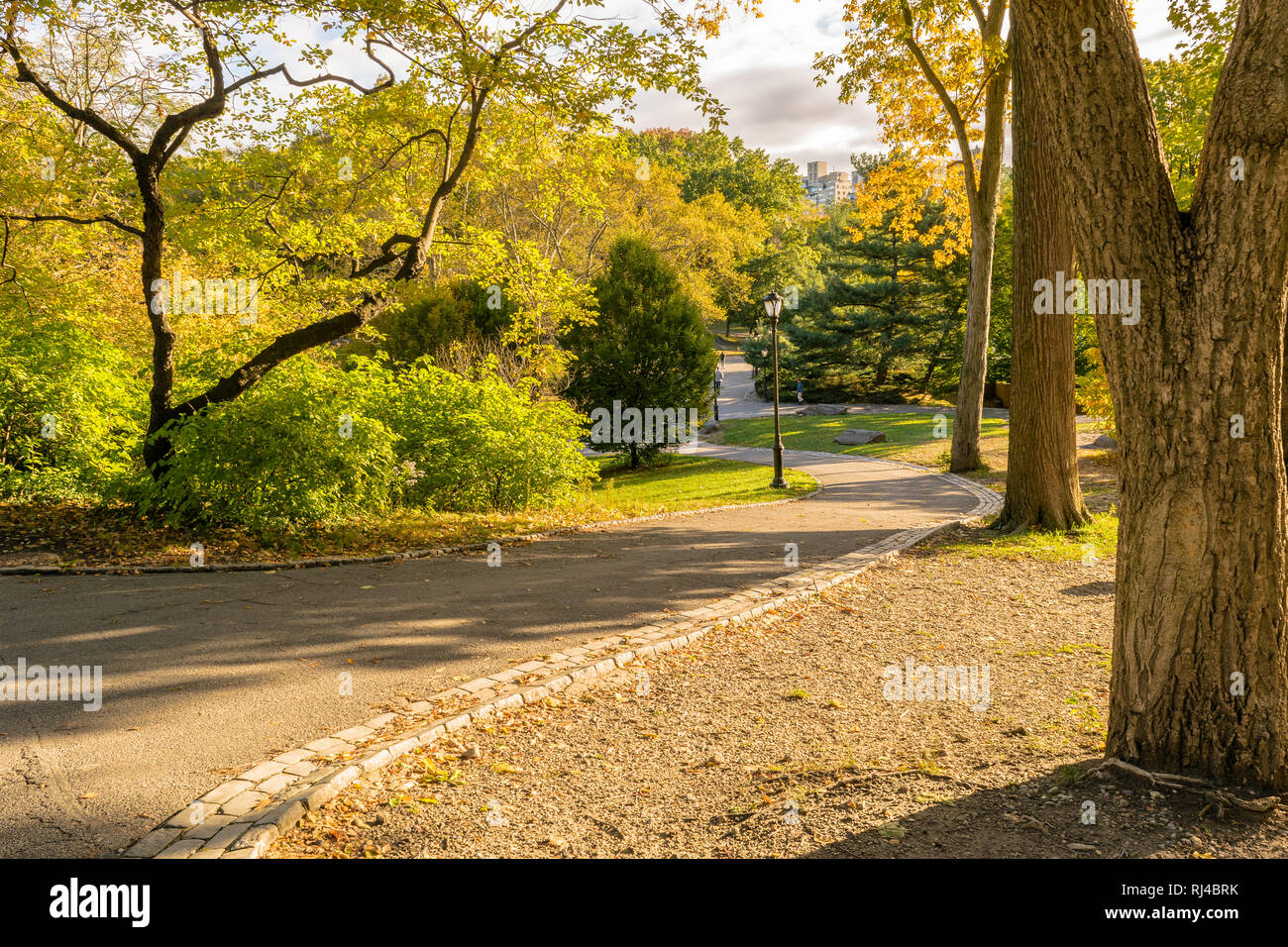 A walking/jogging road path through the famous city park Central Park ...