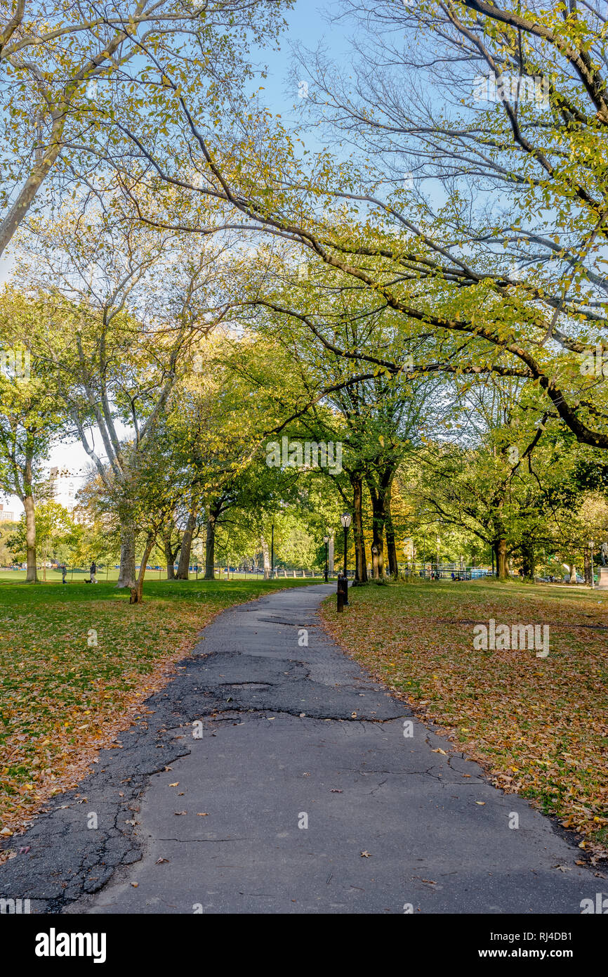 A walking/jogging road path through the famous city park Central Park ...