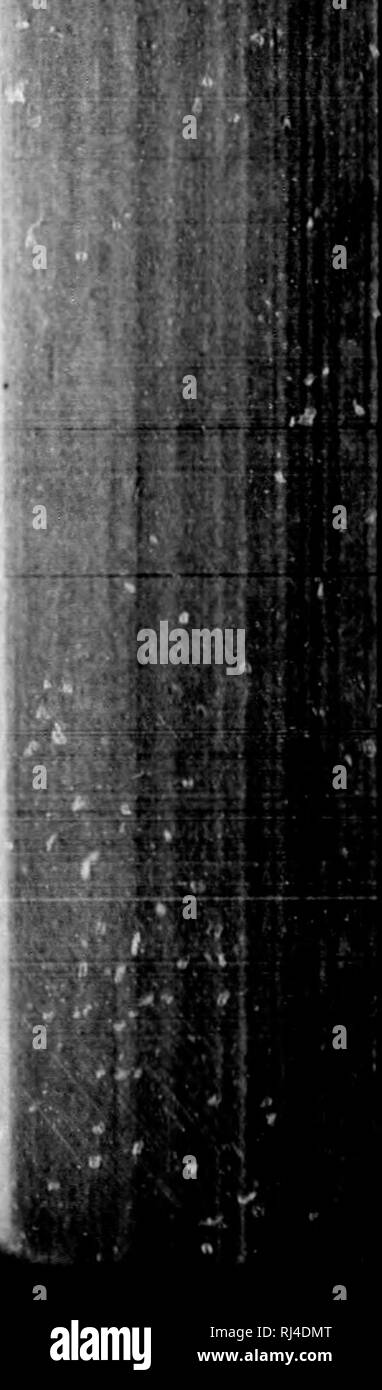 Faint indications hi-res stock photography and images - Alamy