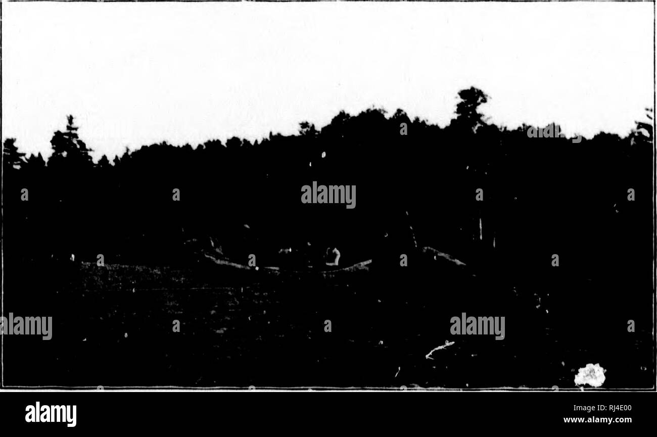 Bade judge hi-res stock photography and images - Alamy