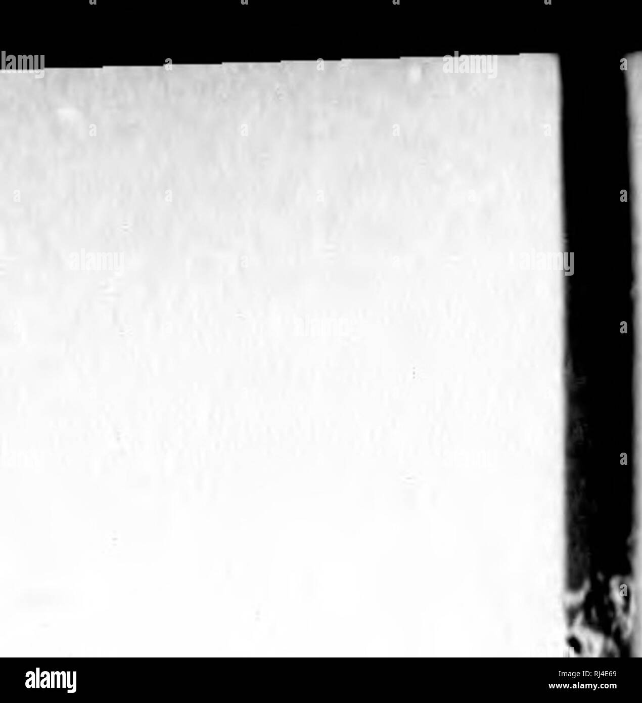 Licon Black and White Stock Photos & Images - Alamy