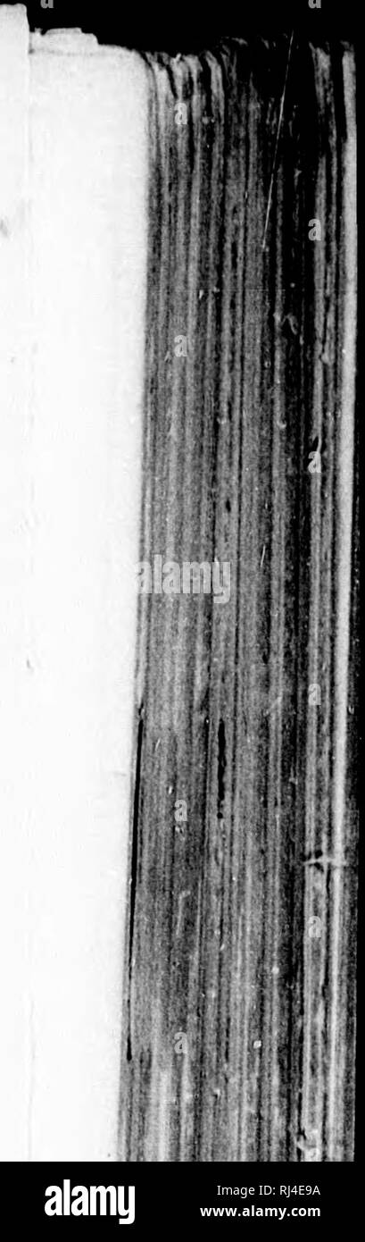 Escuminac hi-res stock photography and images - Alamy