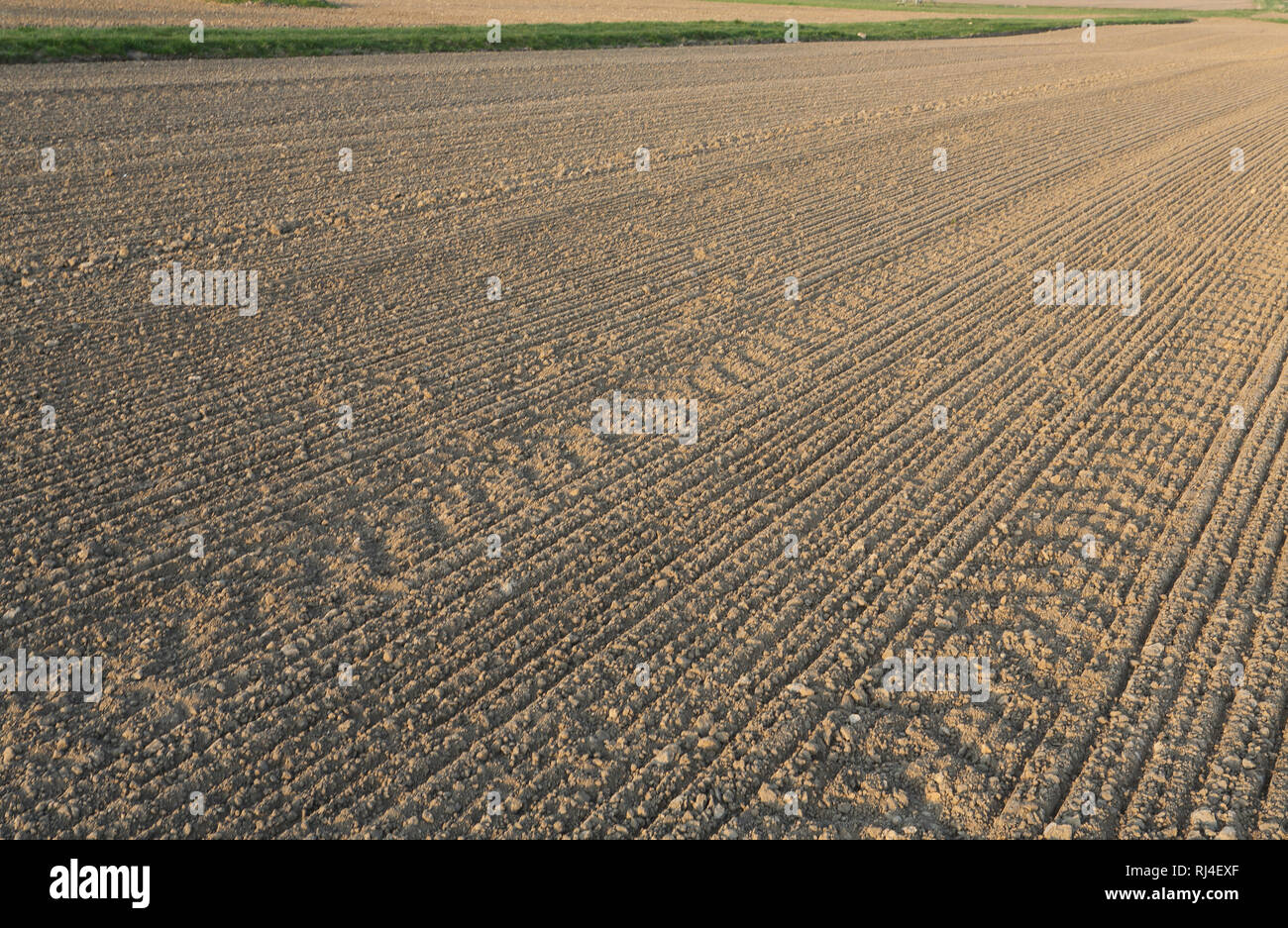 Feld landschaft hi-res stock photography and images - Alamy