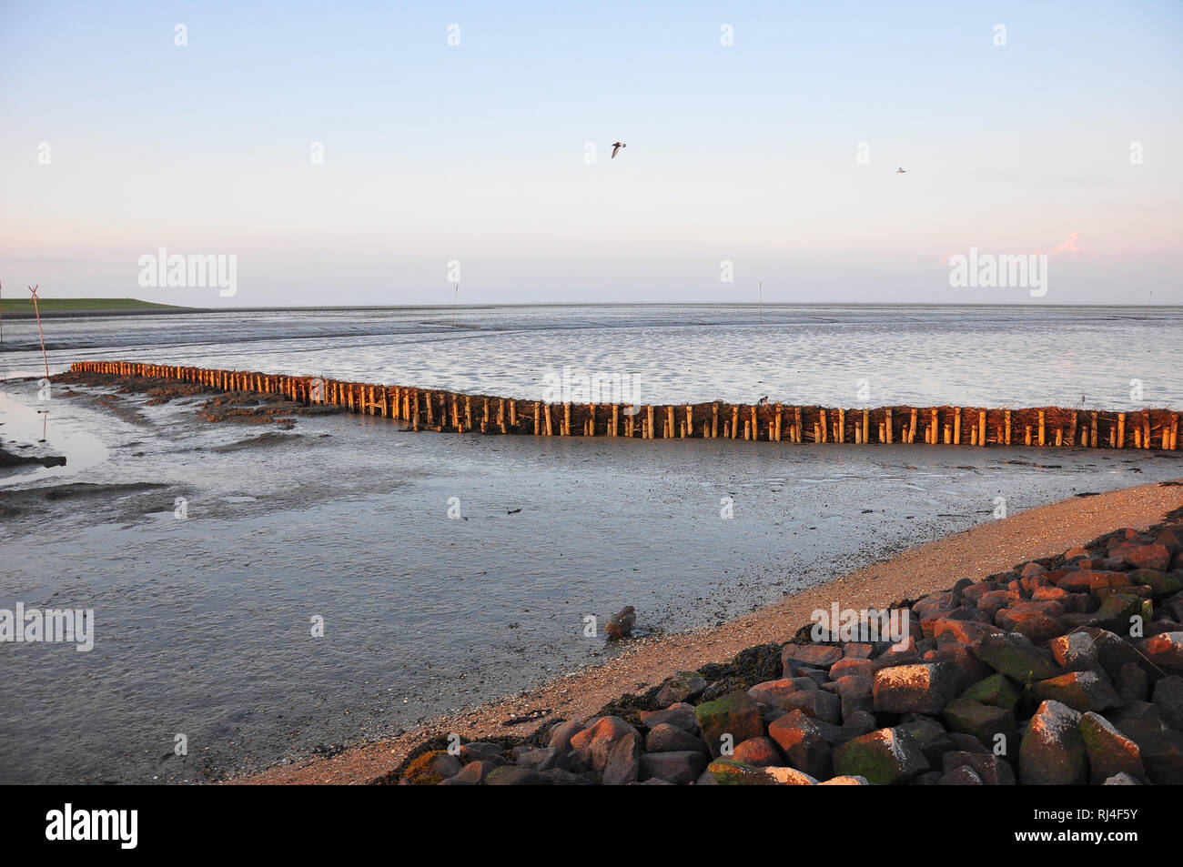 Deutsche buhne hi-res stock photography and images - Alamy