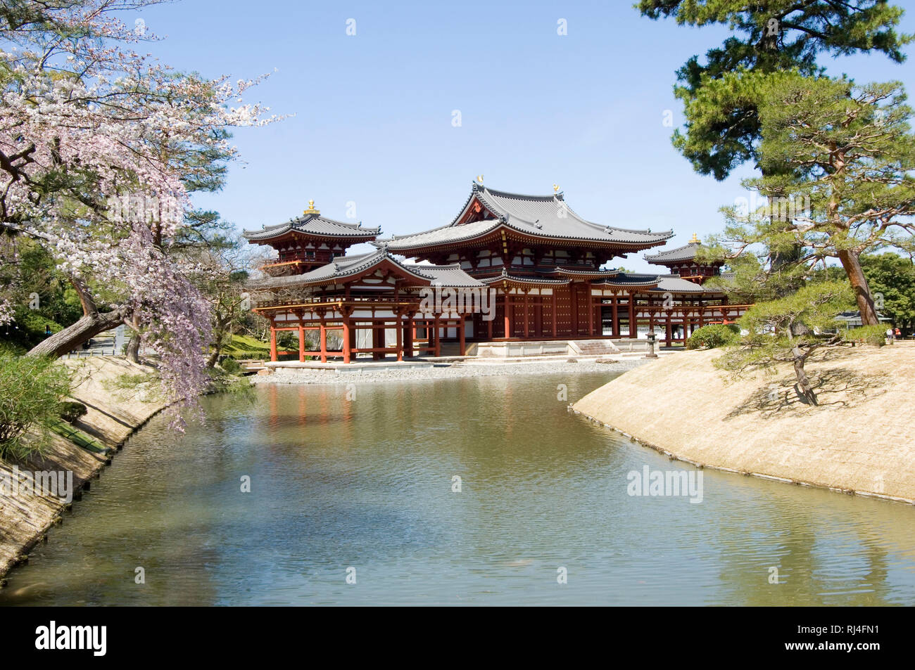 Byodo in, Uji, Near Kyoto, Japan, Temple, Morning sunshine Stock Photo ...