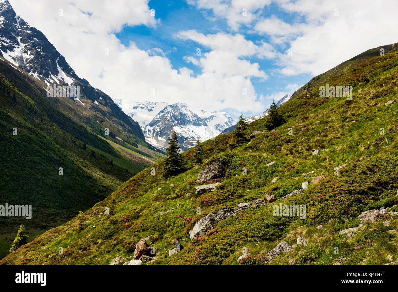 Pitztaler Alpen High Resolution Stock Photography and Images - Alamy