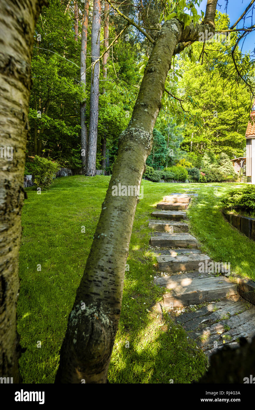 old Cherry tree in the garden Stock Photo - Alamy