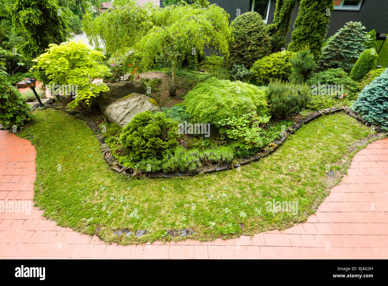 Garden bed with deciduous and coniferous trees Stock Photo - Alamy
