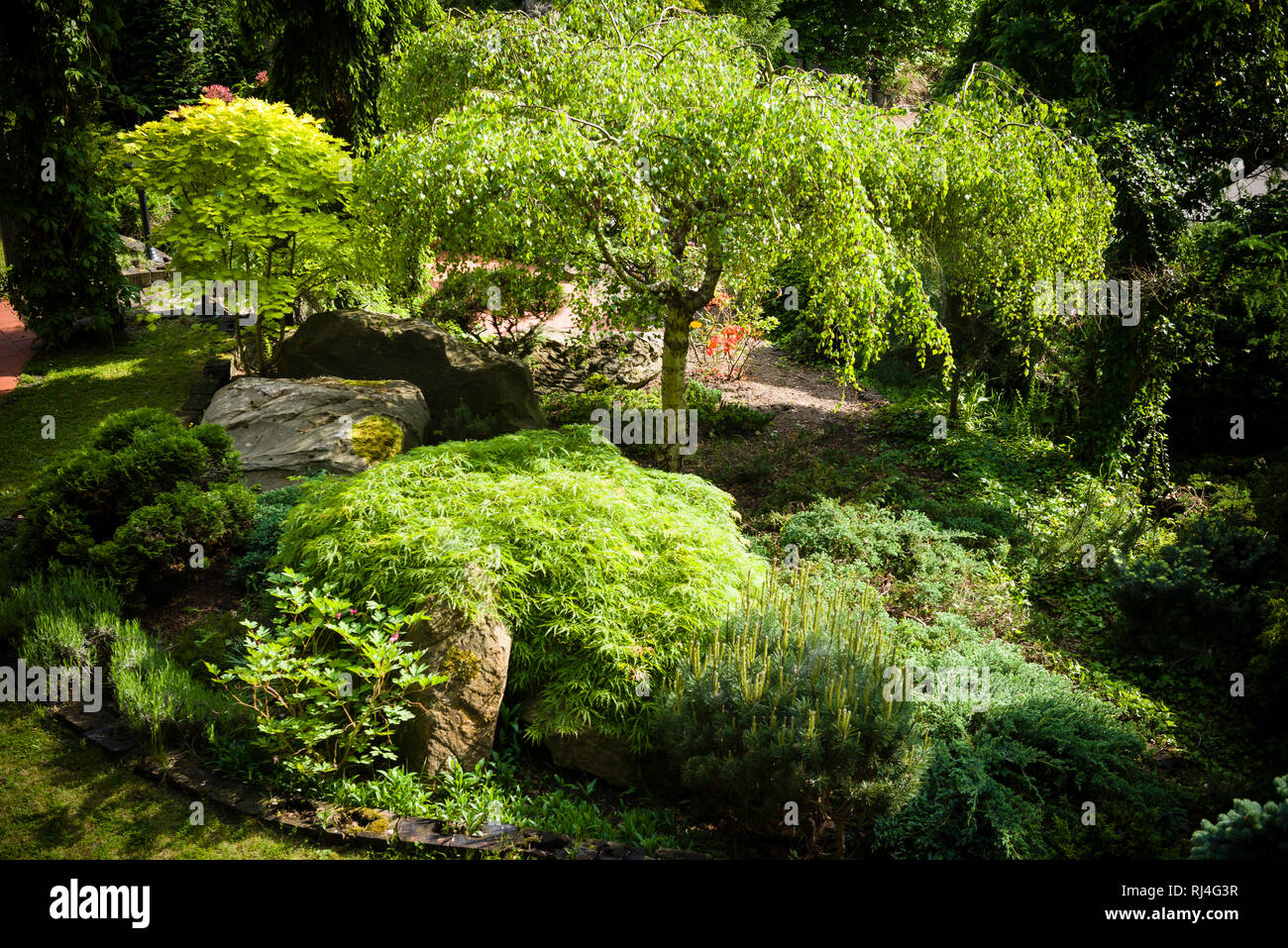 Trees and bushes in garden Stock Photo - Alamy