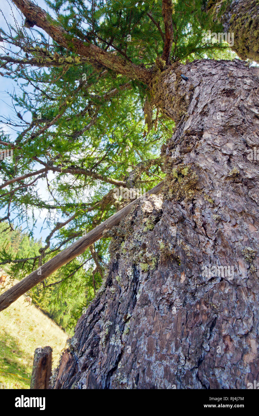 Sehr alt hi-res stock photography and images - Alamy