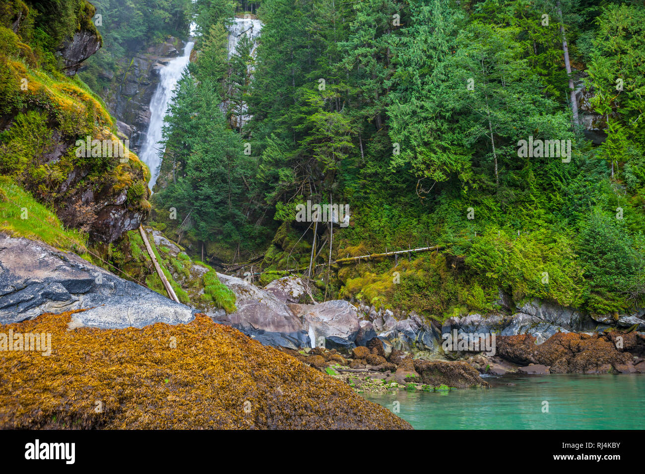 Knight inlet vancouver island hi-res stock photography and images - Alamy