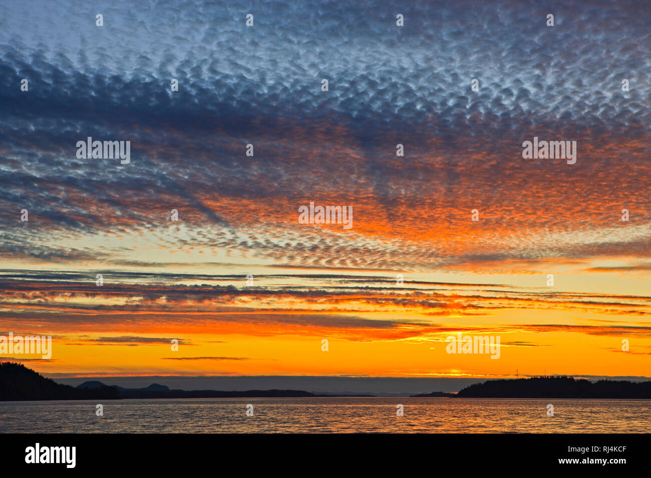 Alert bay hi-res stock photography and images - Alamy
